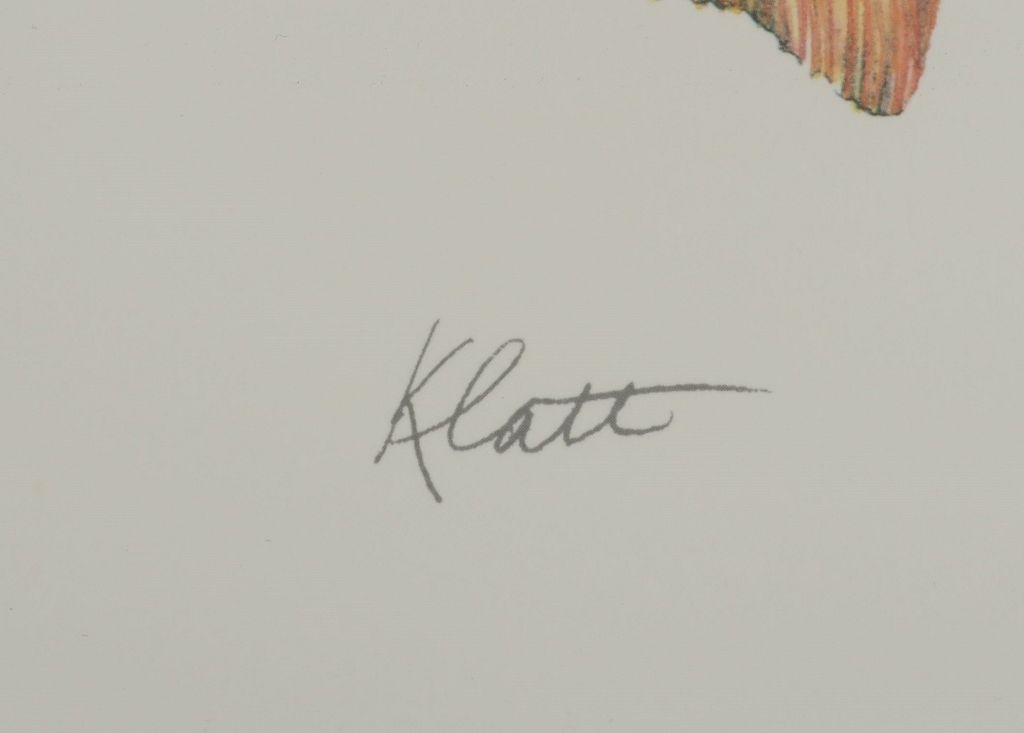 Eileen Klatt | Rainbow Trout | MutualArt