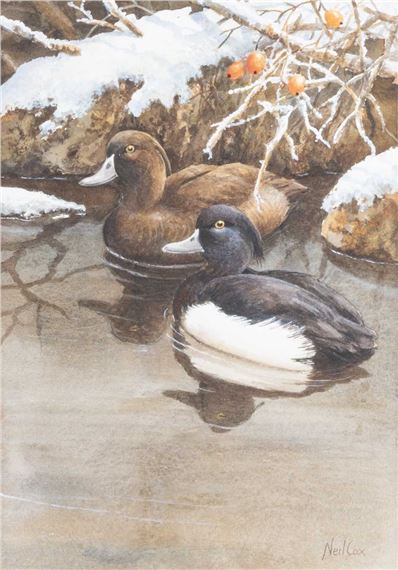 Neil Cox | DUCKS ON A RIVER AT WINTER TIME | MutualArt
