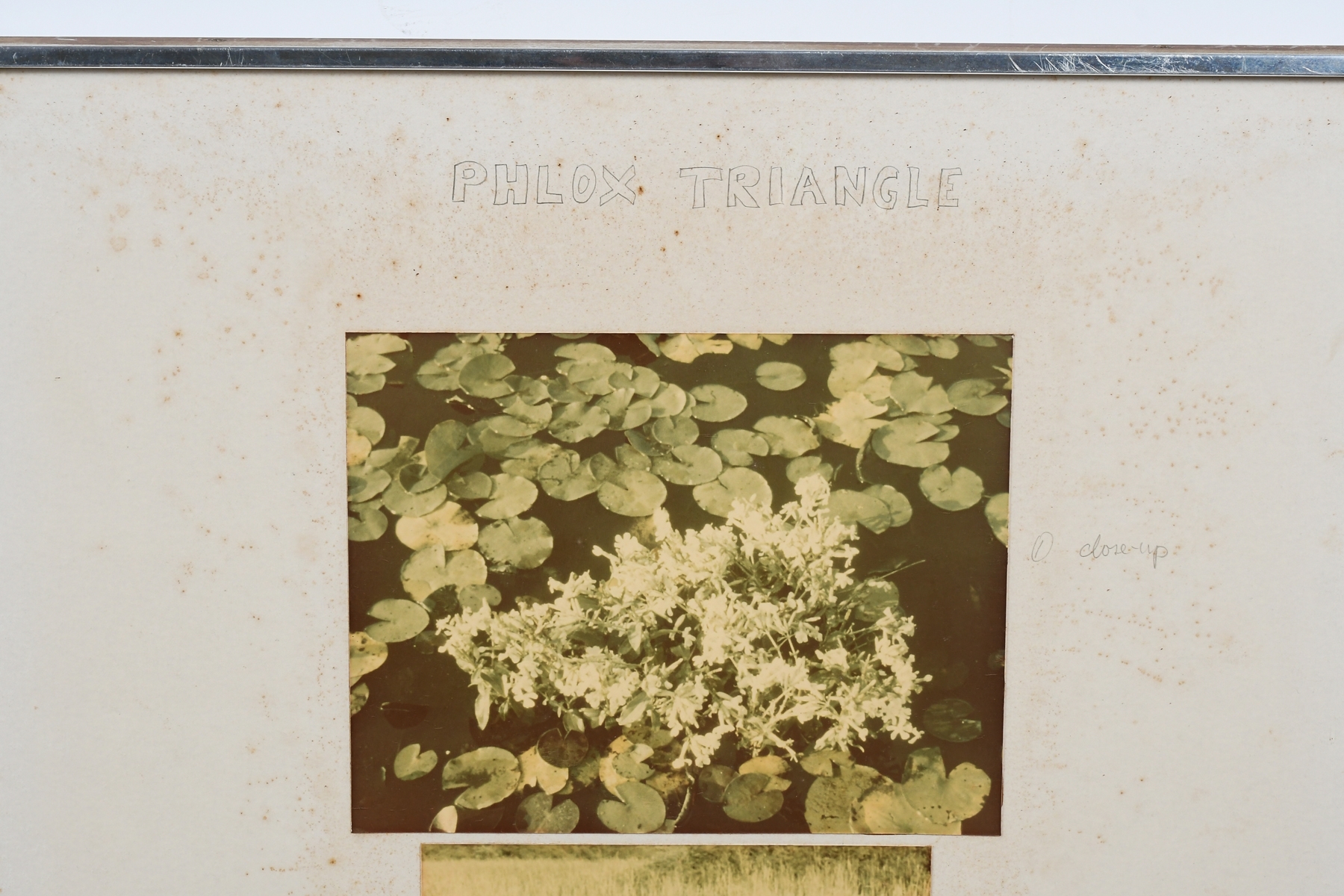 Peter Hutchinson | Phlox Triangle (1970) | MutualArt