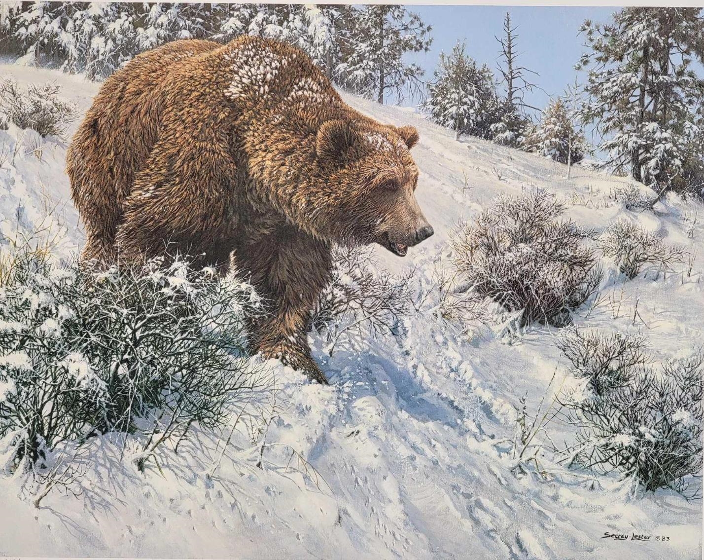 John Seerey-Lester | First Snow-Grizzly Bear (1983) | MutualArt