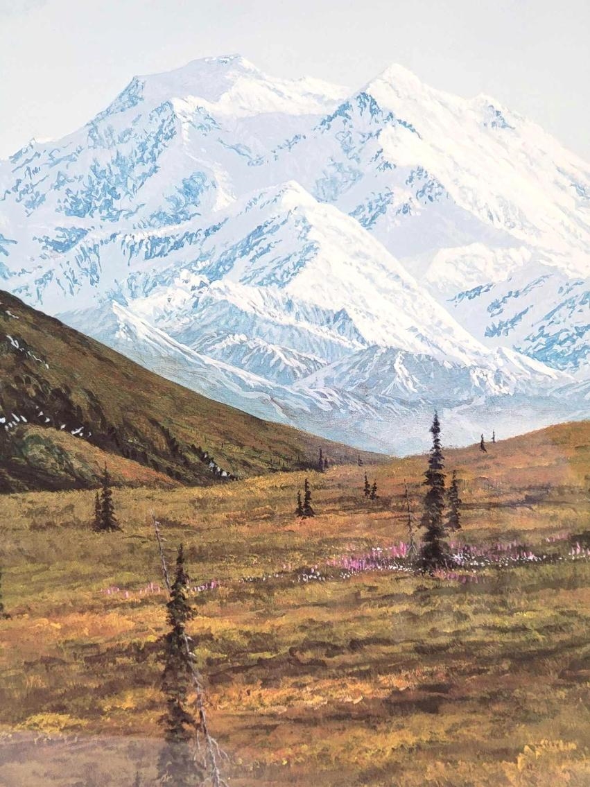 Jon Van Zyle | Denali Fire & Ice | MutualArt
