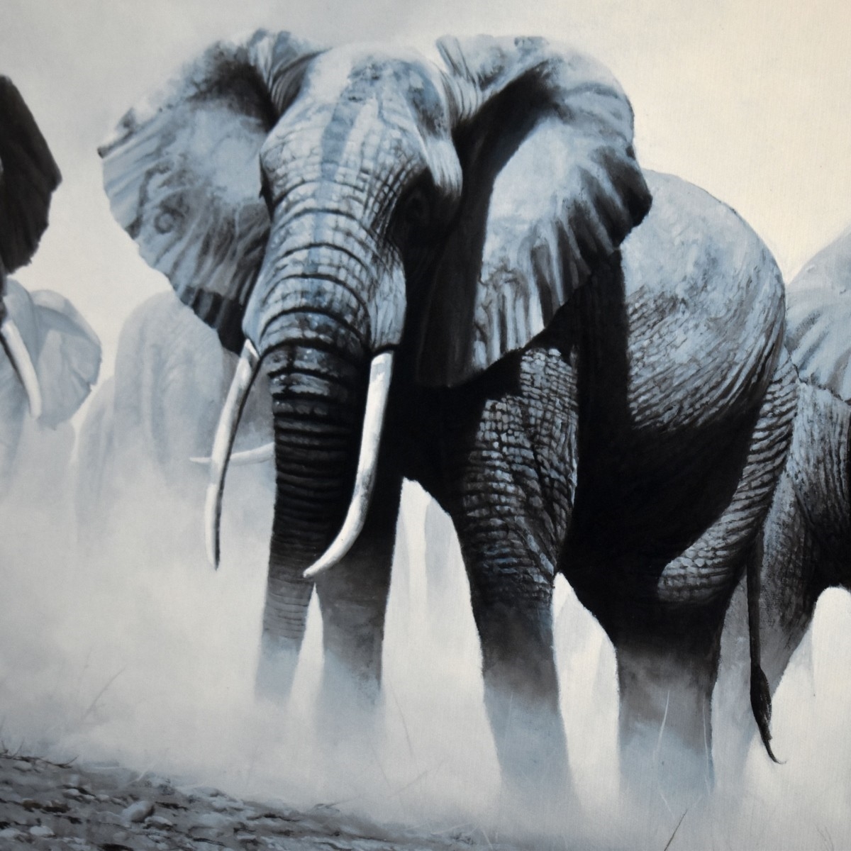 Craig Bone | Ghost of the Etosha | MutualArt