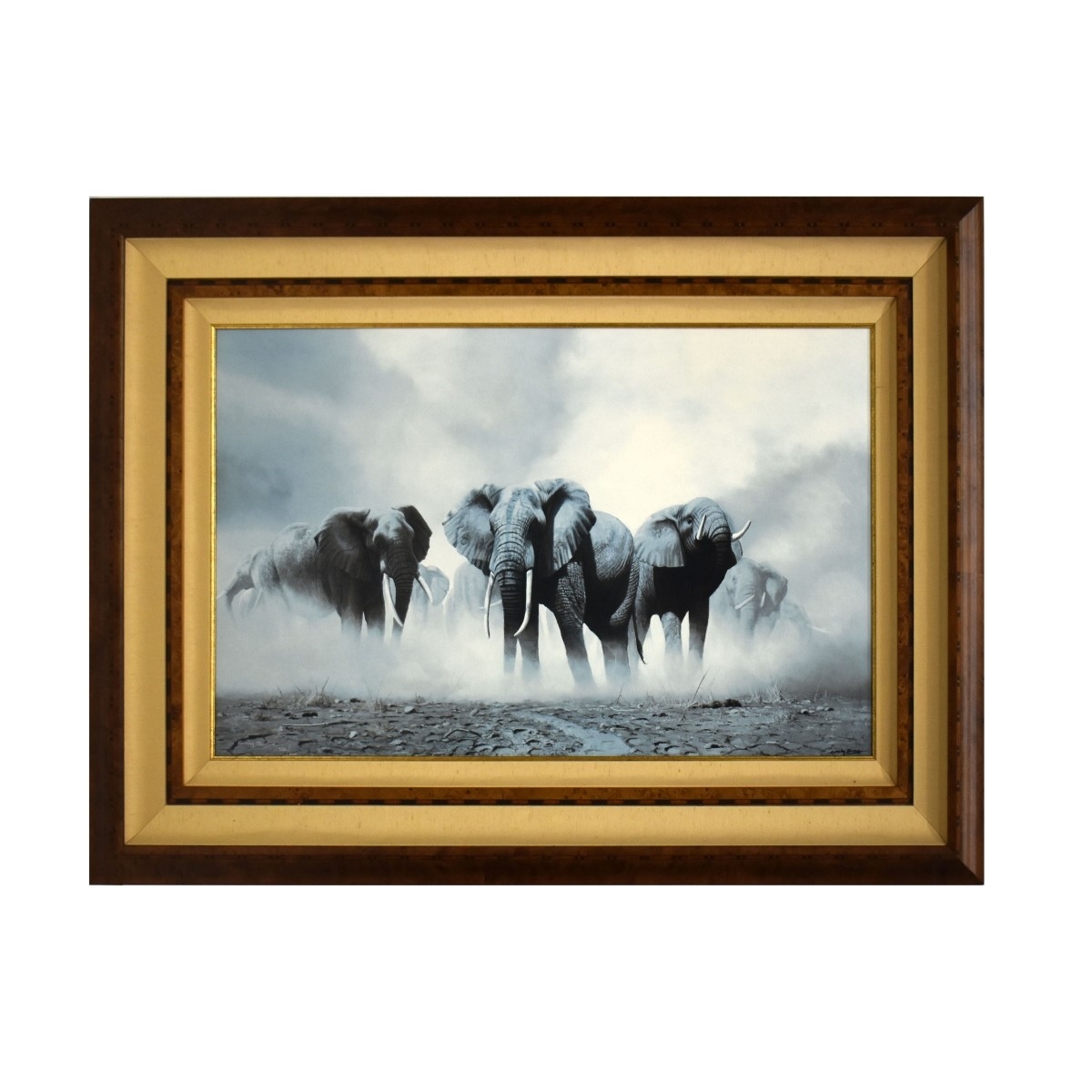 Craig Bone | Ghost of the Etosha | MutualArt