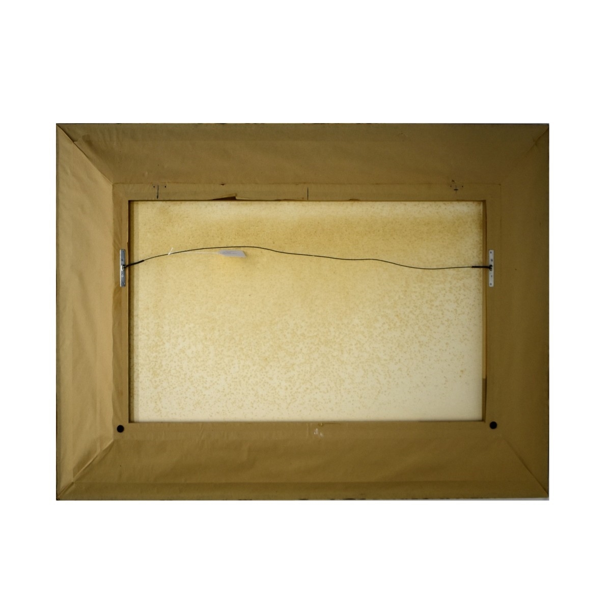 Craig Bone | Ghost of the Etosha | MutualArt