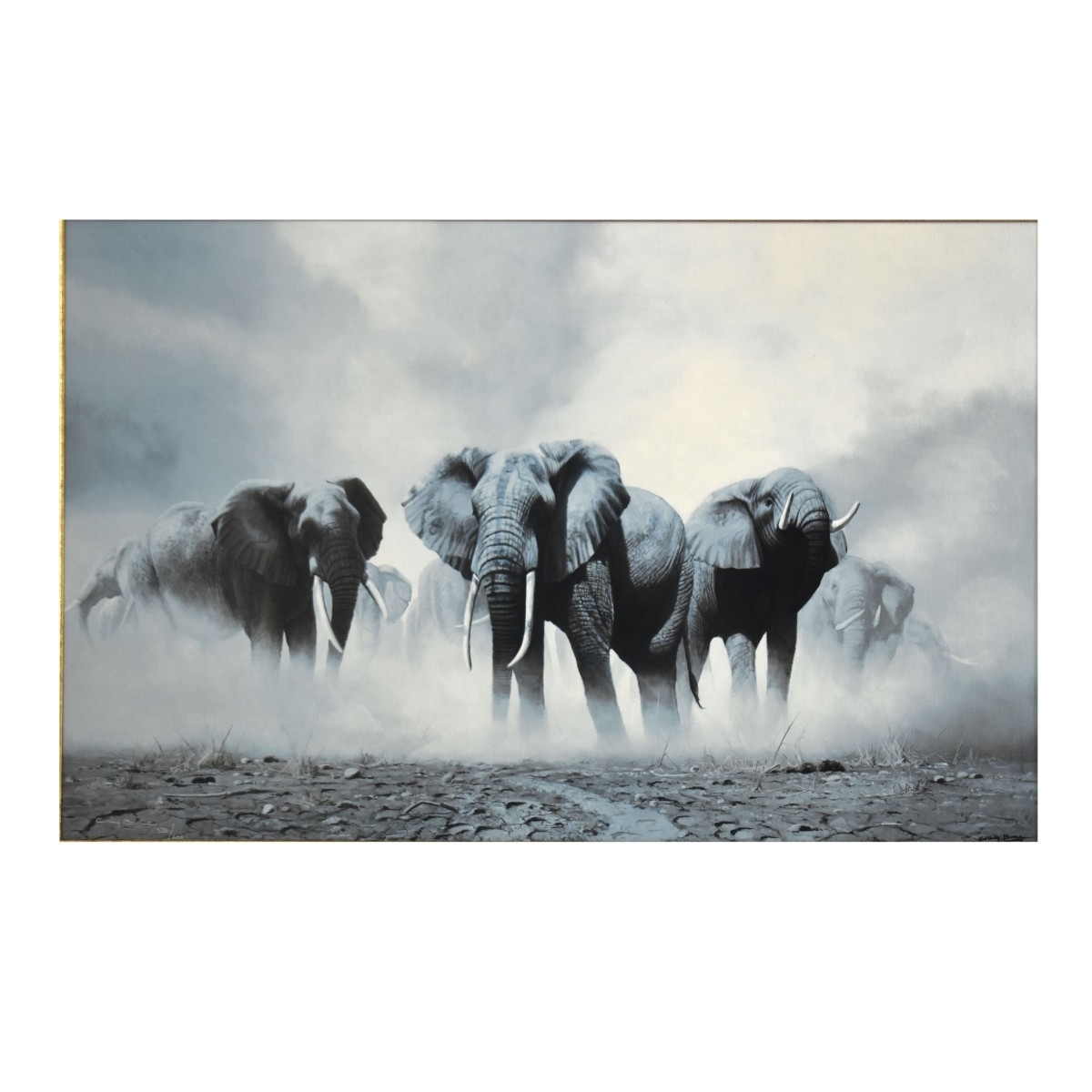 Craig Bone | Ghost of the Etosha | MutualArt