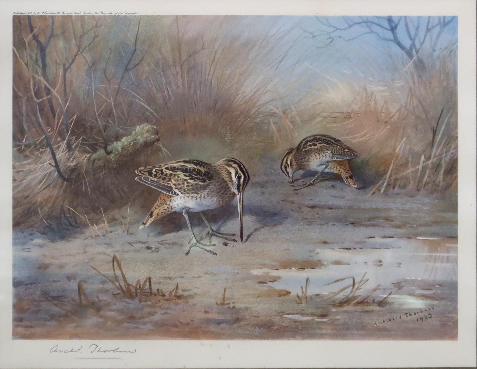 Archibald Thorburn | signed with initials and dated July 16th 1890 ...