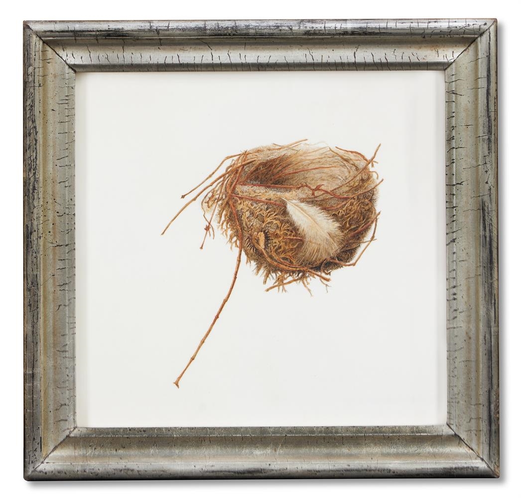 Brigid Edwards | BIRD'S NEST | MutualArt