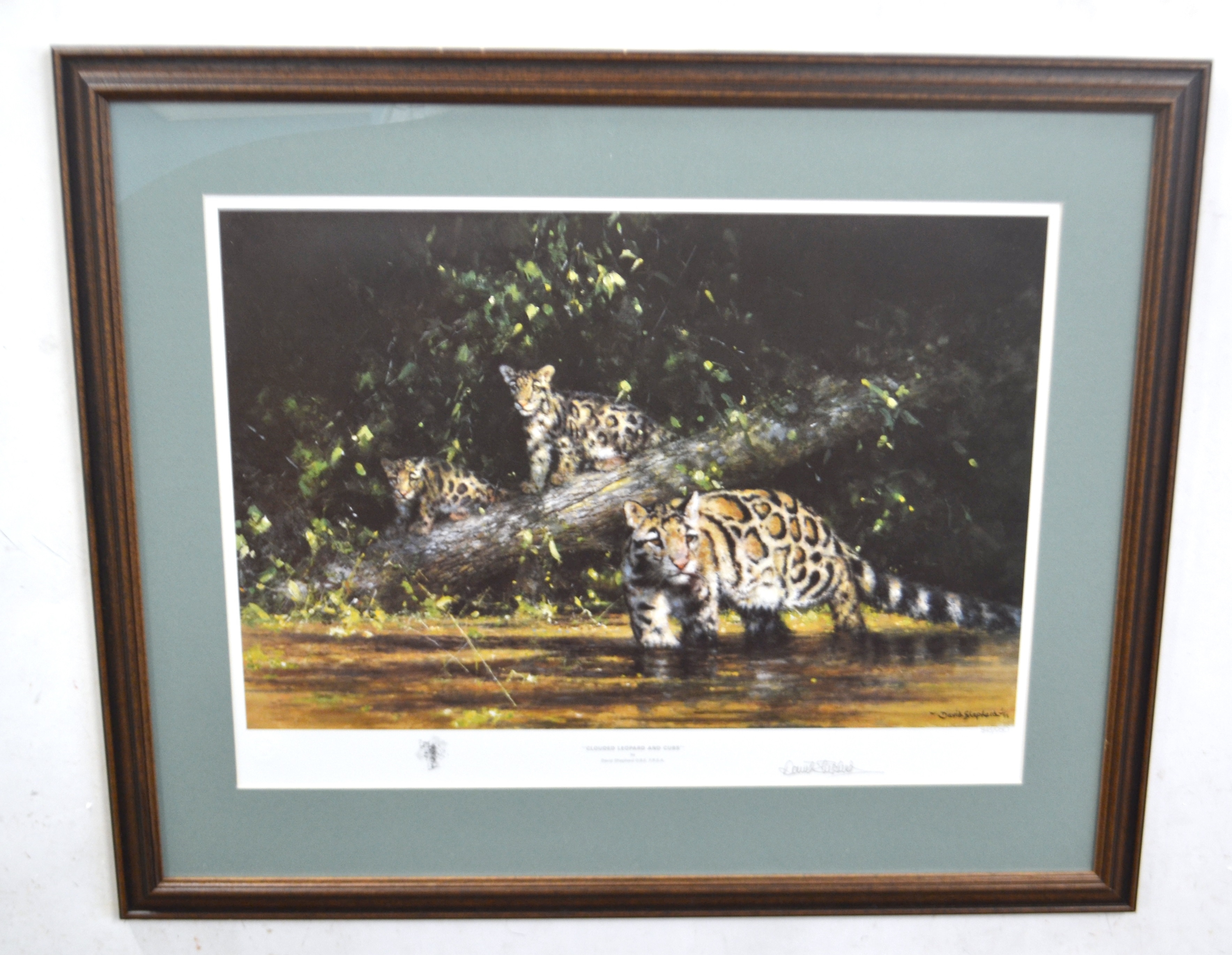 David Shepherd | Clouded Leopard and Cubs | MutualArt