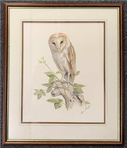 Brian Bedford | Barn Owl perched on a tree branch | MutualArt