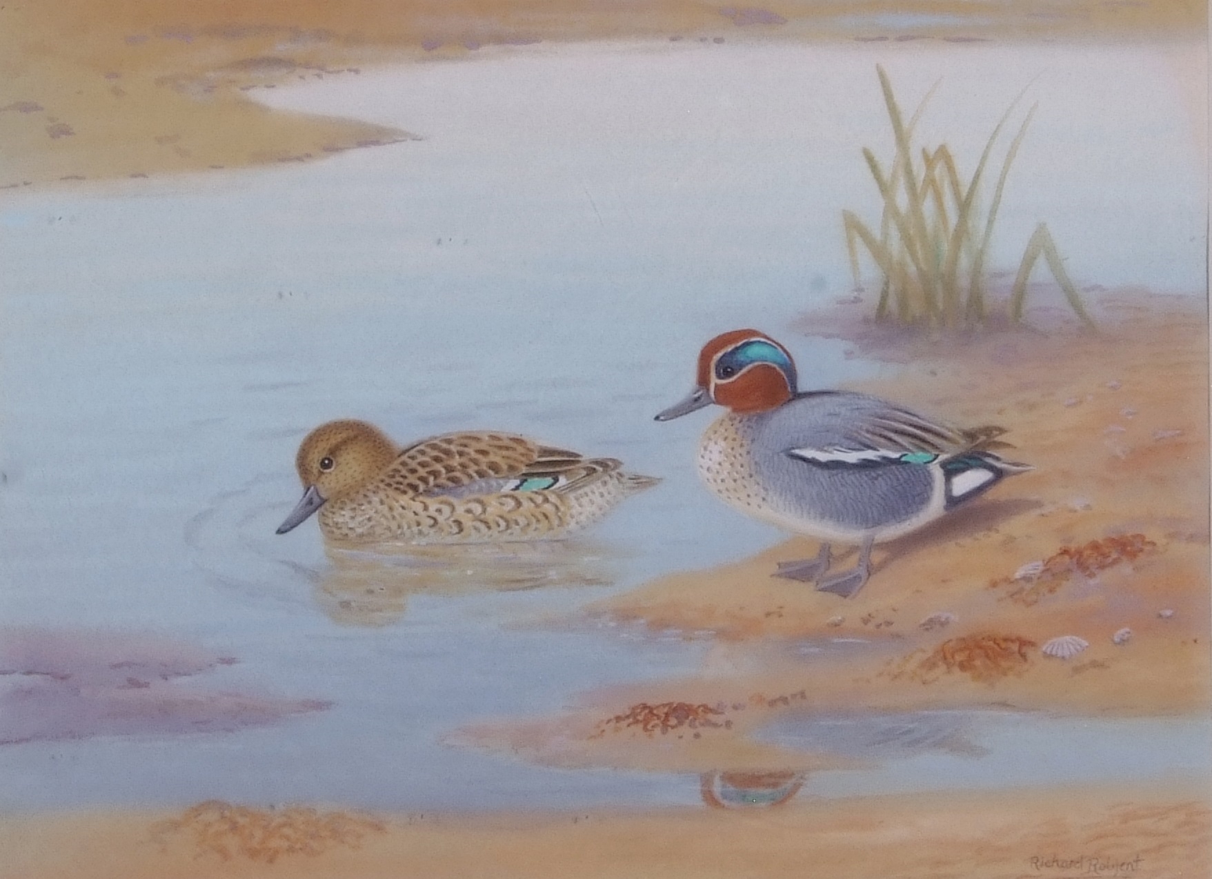Richard Robjent | A brace of Teal | MutualArt