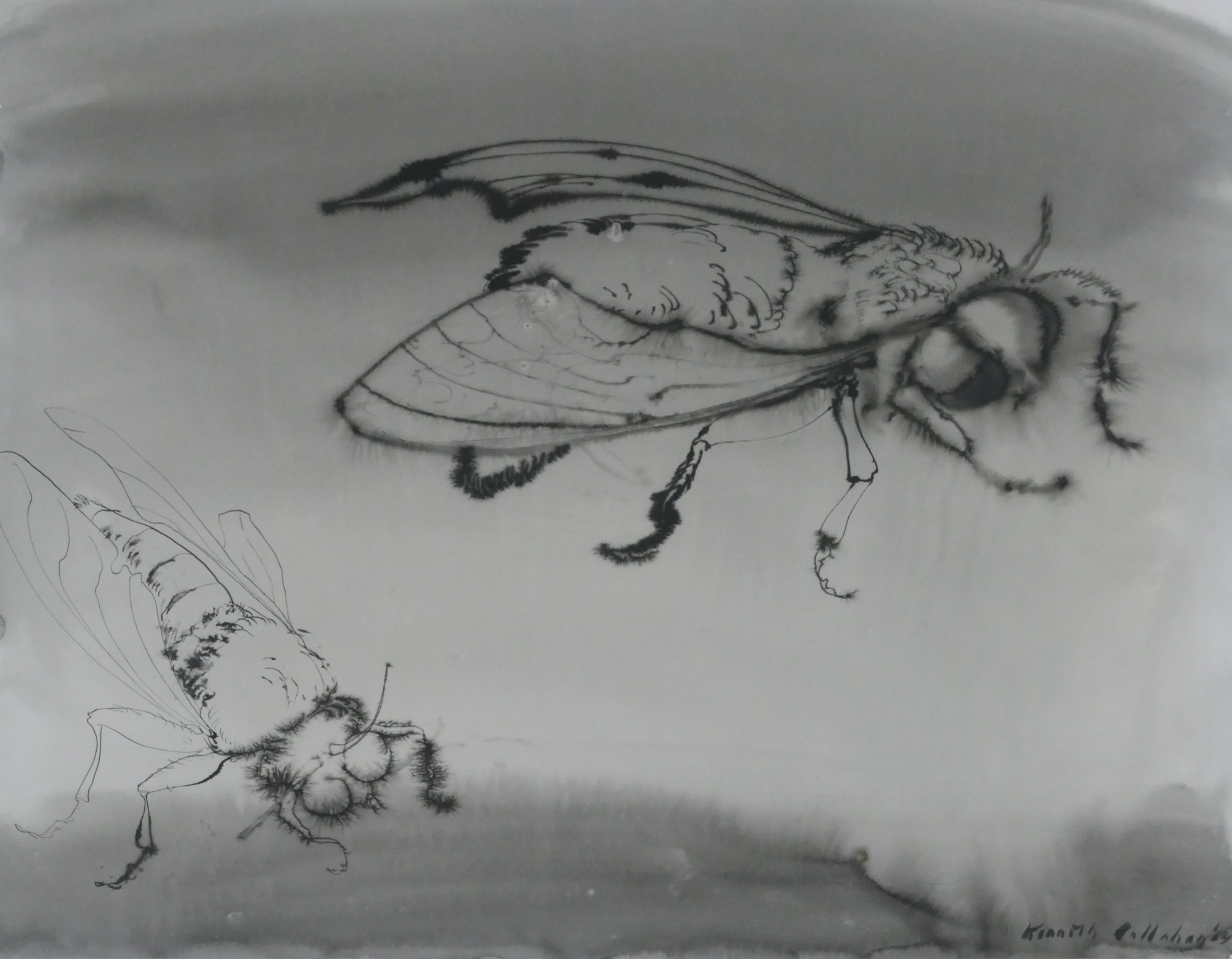 Kenneth Callahan | Kenneth Callahan ''Flies'' 1964 Ink and Wash (1964 ...