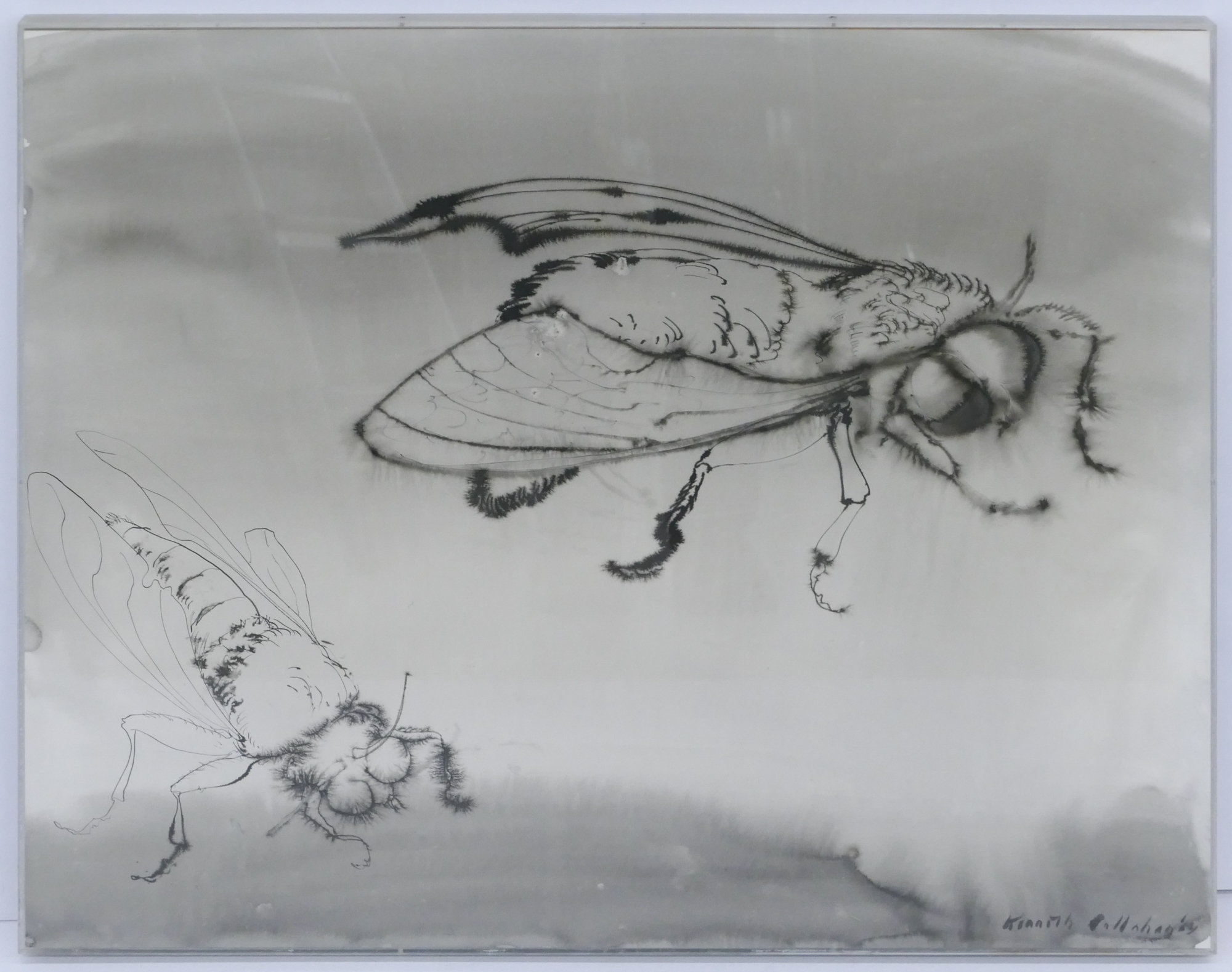 Kenneth Callahan | Kenneth Callahan ''Flies'' 1964 Ink and Wash (1964 ...