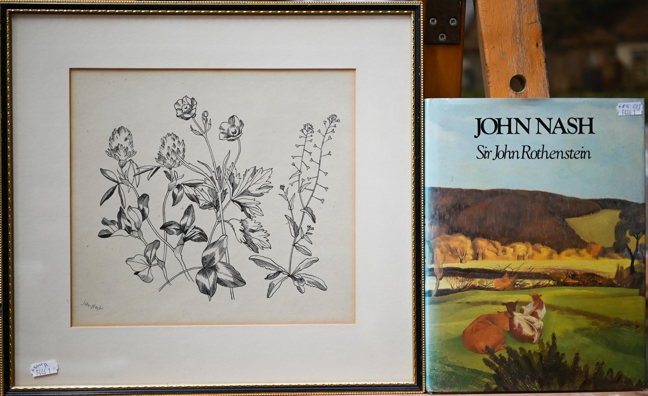 John Northcote Nash | 'Line drawing', botanical study (1983) | MutualArt