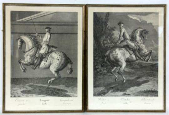 Johann Elias Ridinger | Neue Reitschule | MutualArt