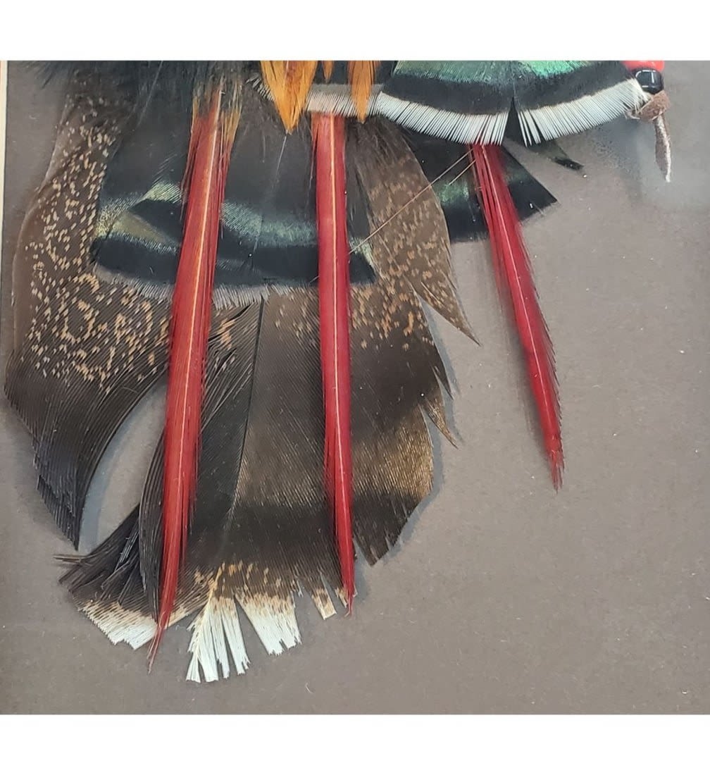 Debra Colburn | Red Hawk Dancer | MutualArt