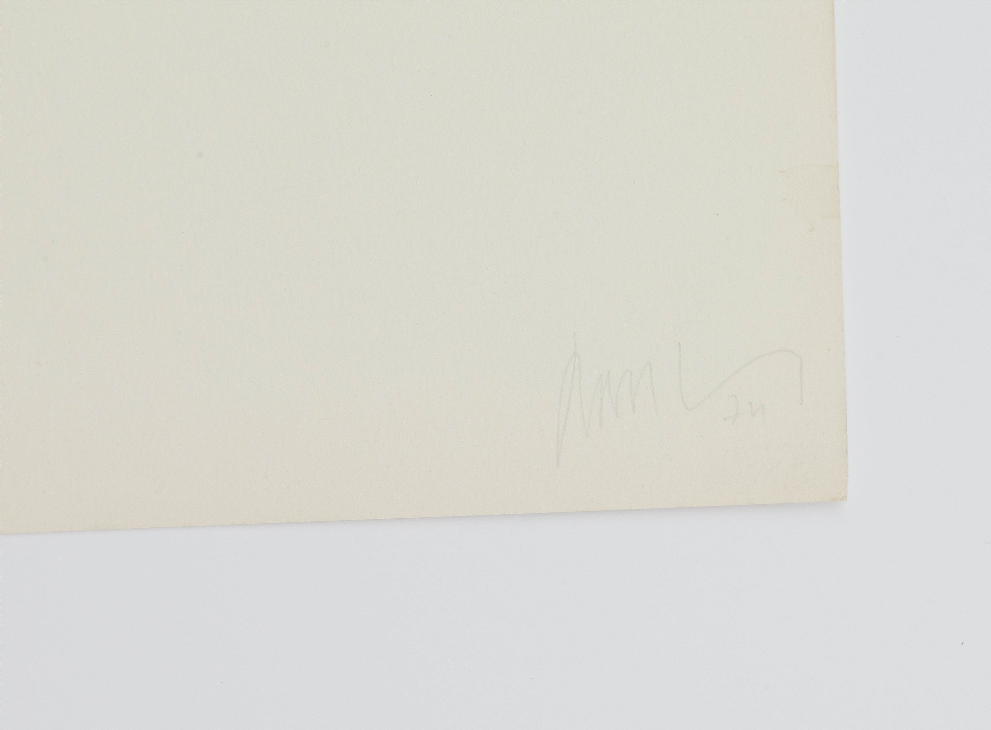 Dan van Severen | Untitled, 1974 (1974) | MutualArt