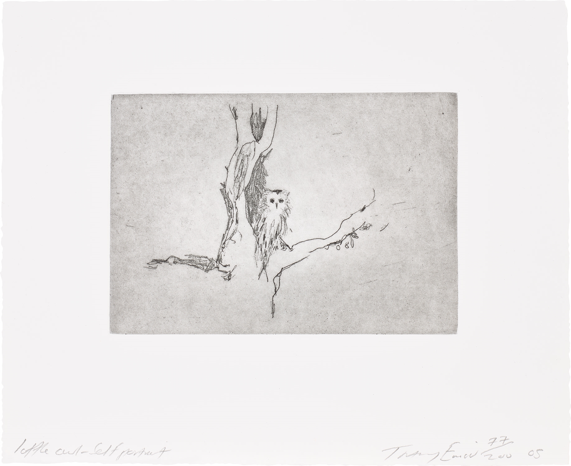 Tracey Emin | Little Owl (Self Portrait) (2005) | MutualArt