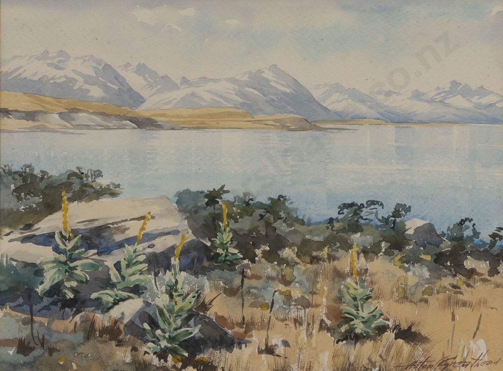 Aston Greathead | Lake Tekapo | MutualArt