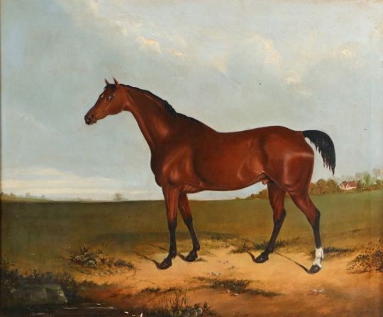 Henry Barraud | THE HERO, A BAY RACEHORSE (1847) | MutualArt