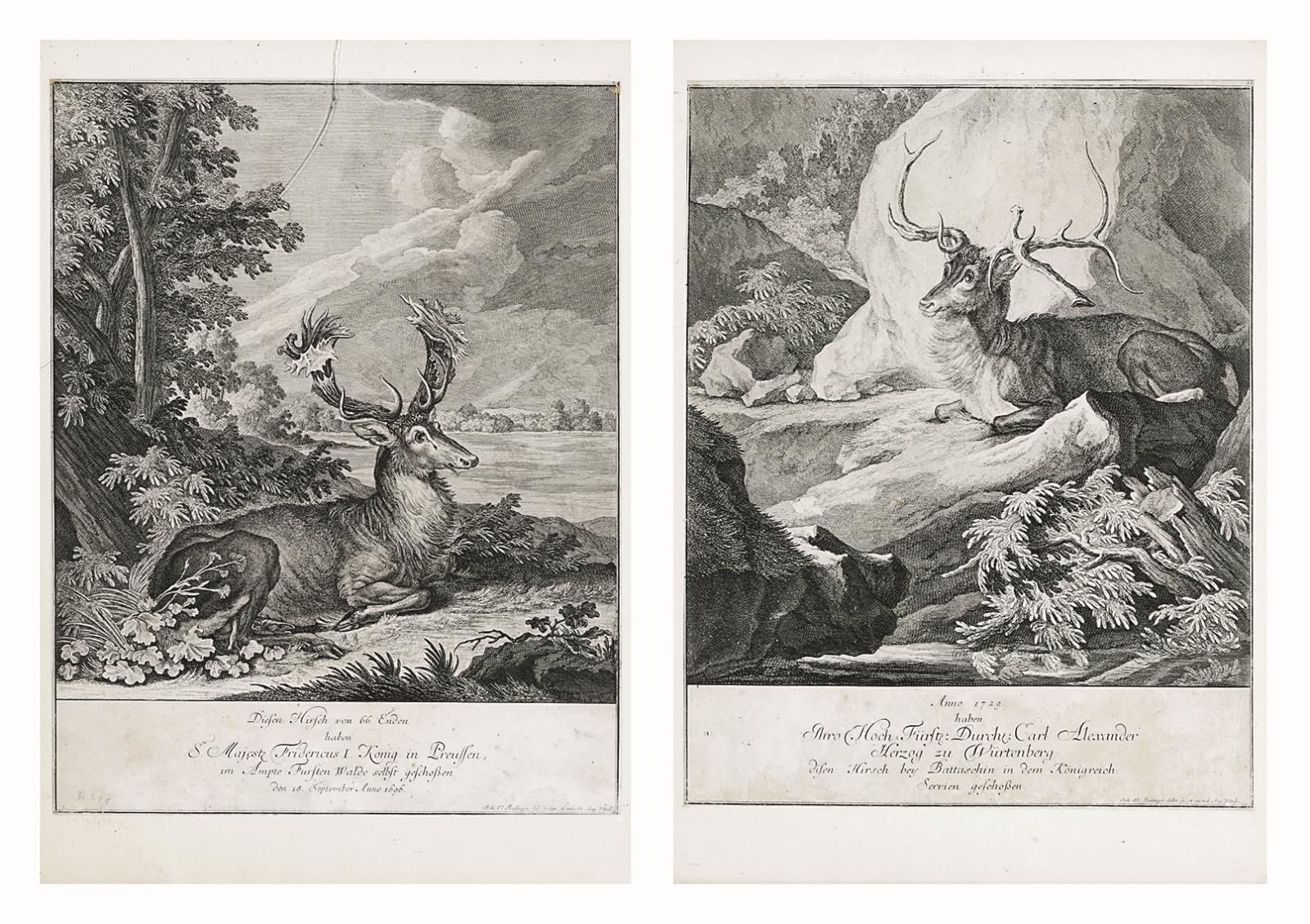 Johann Elias Ridinger | Zwei Hirschdarstellungen | MutualArt