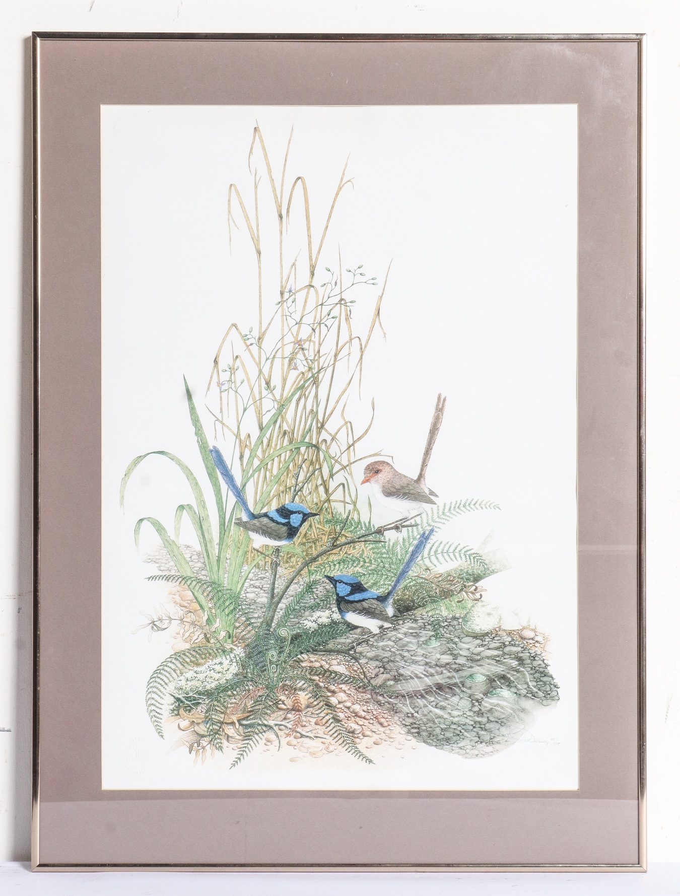 William W. Delaney | Depiction of Superb Fairy Wrens | MutualArt