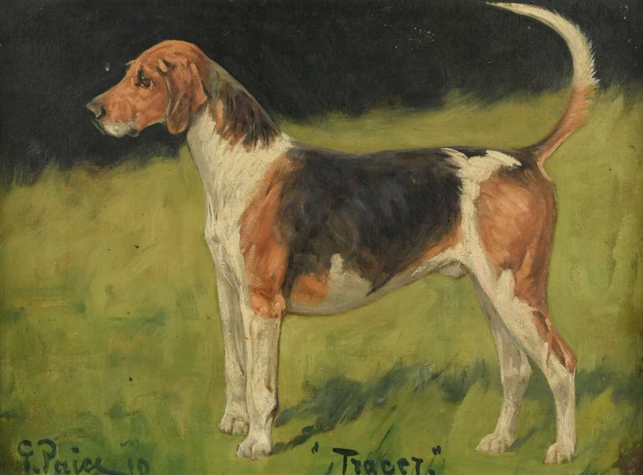 George Paice | Portrait of Tracer, a foxhound (1910) | MutualArt