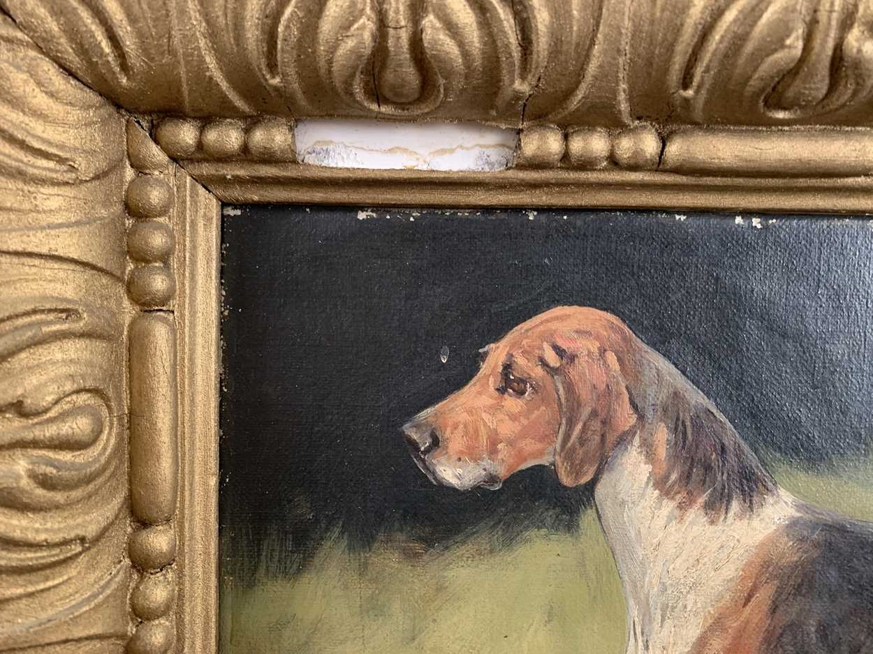 George Paice | Portrait of Tracer, a foxhound (1910) | MutualArt