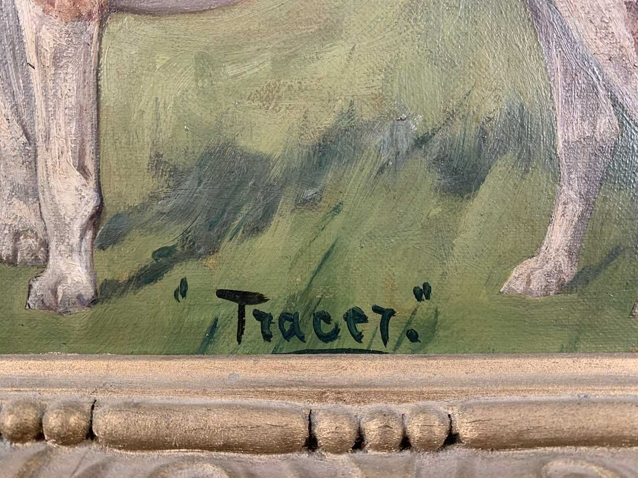 George Paice | Portrait of Tracer, a foxhound (1910) | MutualArt