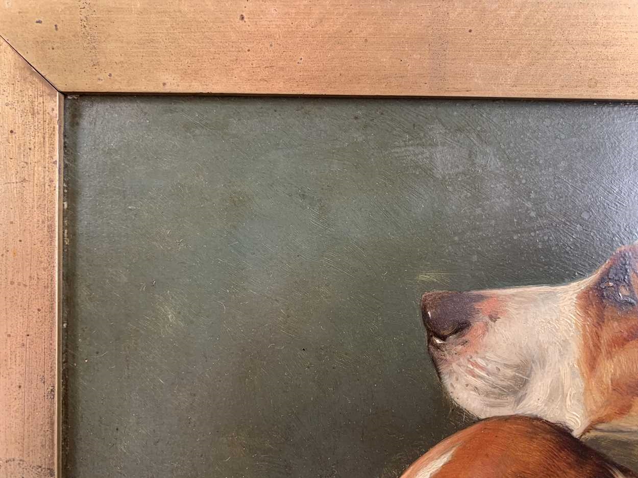 Alfred Wheeler | Three foxhounds (1898) | MutualArt