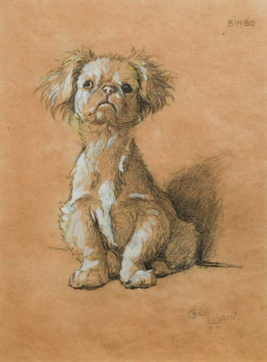 Cecil Aldin | Study of Bimbo | MutualArt