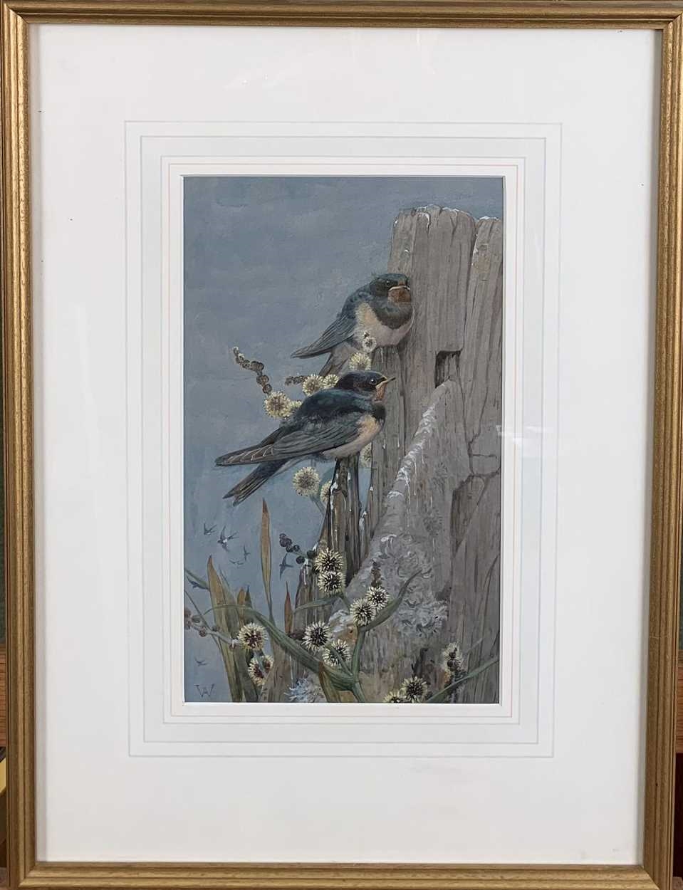 Winifred Austen | House Martins | MutualArt