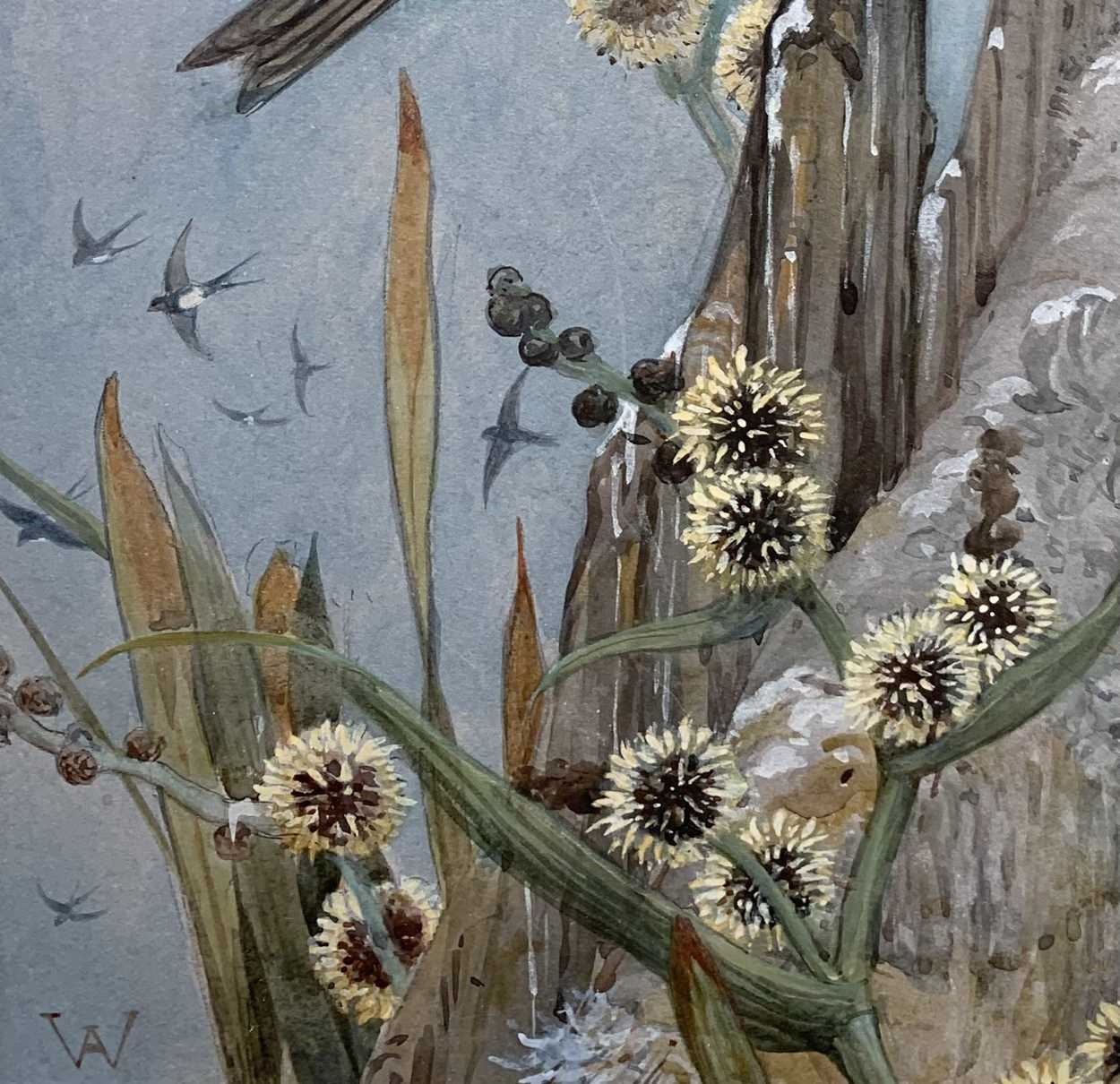 Winifred Austen | House Martins | MutualArt