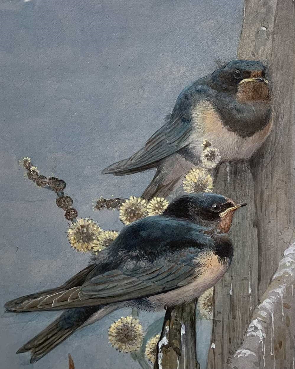 Winifred Austen | House Martins | MutualArt
