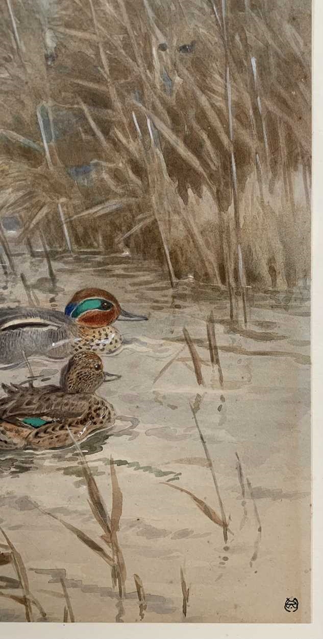 Winifred Austen | Shoveler and teal | MutualArt