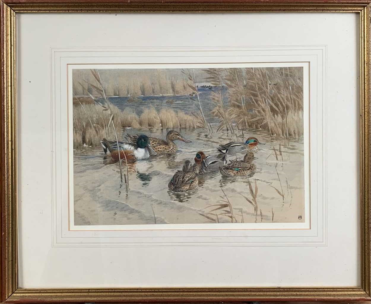 Winifred Austen | Shoveler and teal | MutualArt