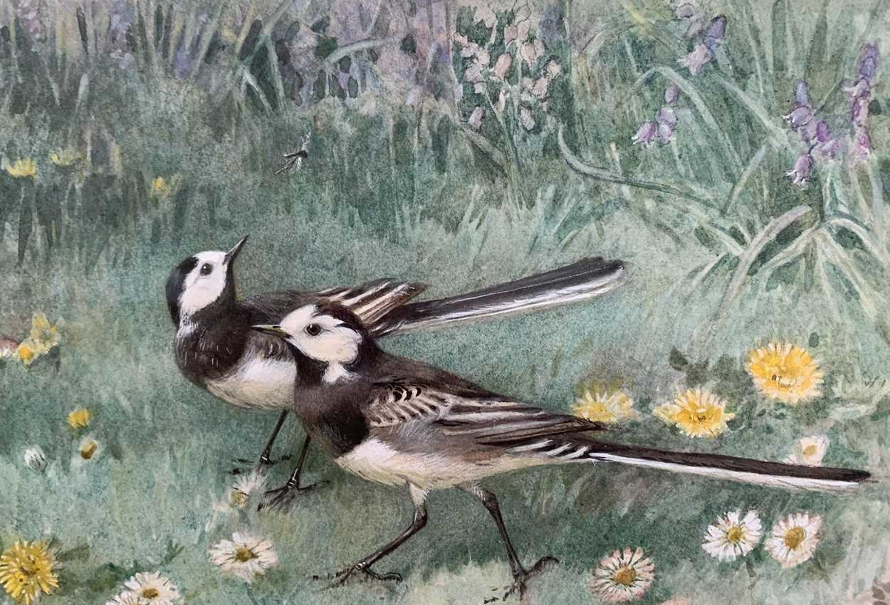 Winifred Austen | Wagtails | MutualArt