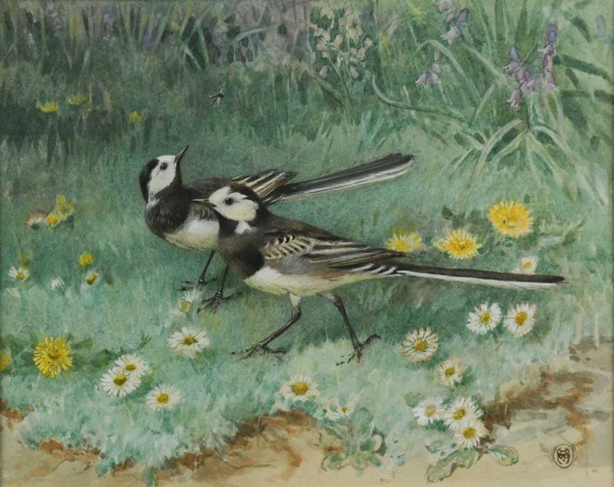 Winifred Austen | Wagtails | MutualArt