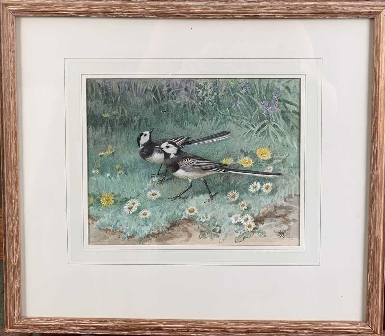 Winifred Austen | Wagtails | MutualArt