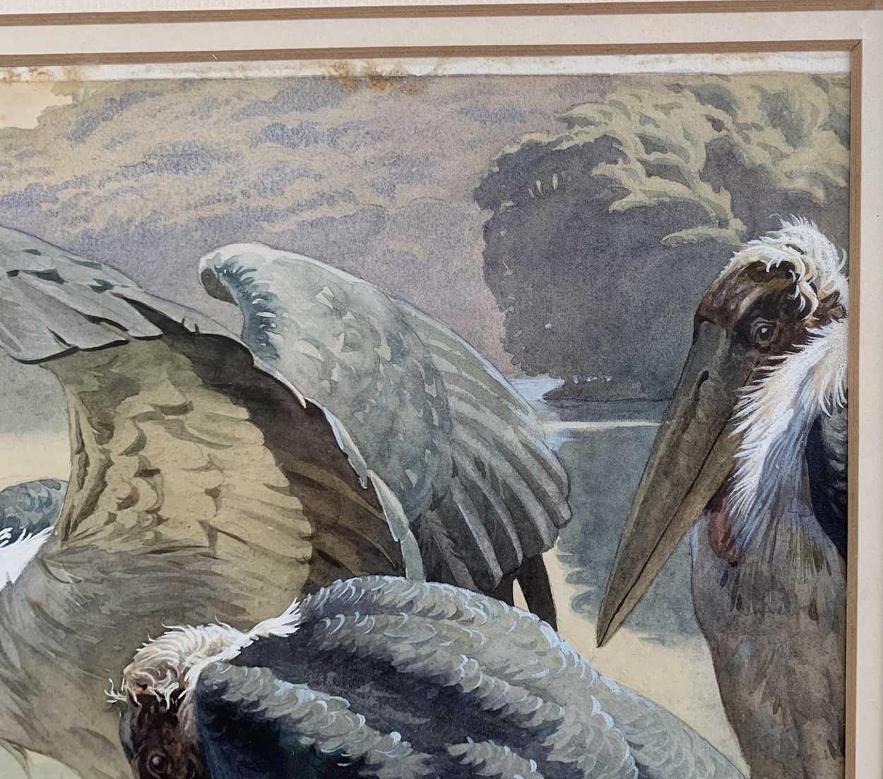Raymond Sheppard | Marabou storks | MutualArt