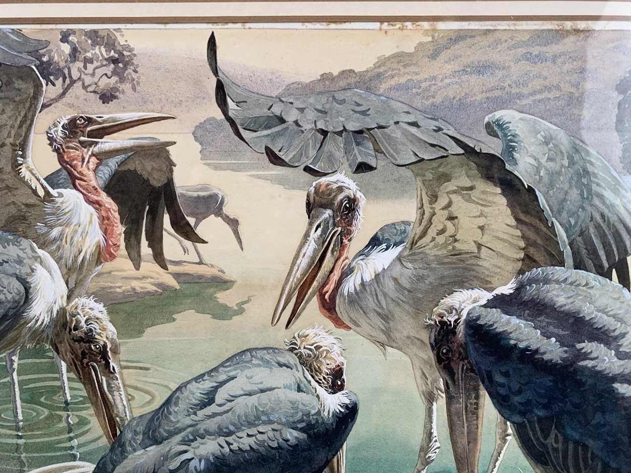 Raymond Sheppard | Marabou storks | MutualArt