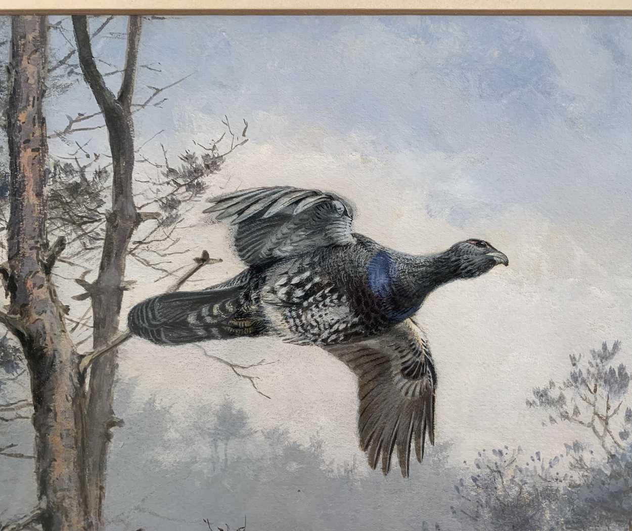 George Edward Lodge | § George Edward Lodge (1860-1954) | MutualArt