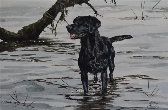 Gillian Harris | A black labrador within a naturalistic setting | MutualArt