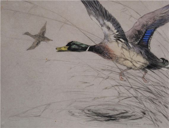 George Vernon Stokes | Mallard (1873) | MutualArt