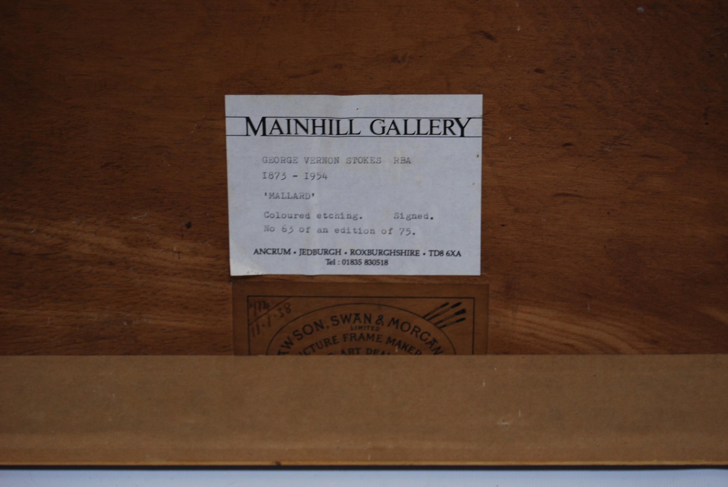 George Vernon Stokes | Mallard (1873) | MutualArt