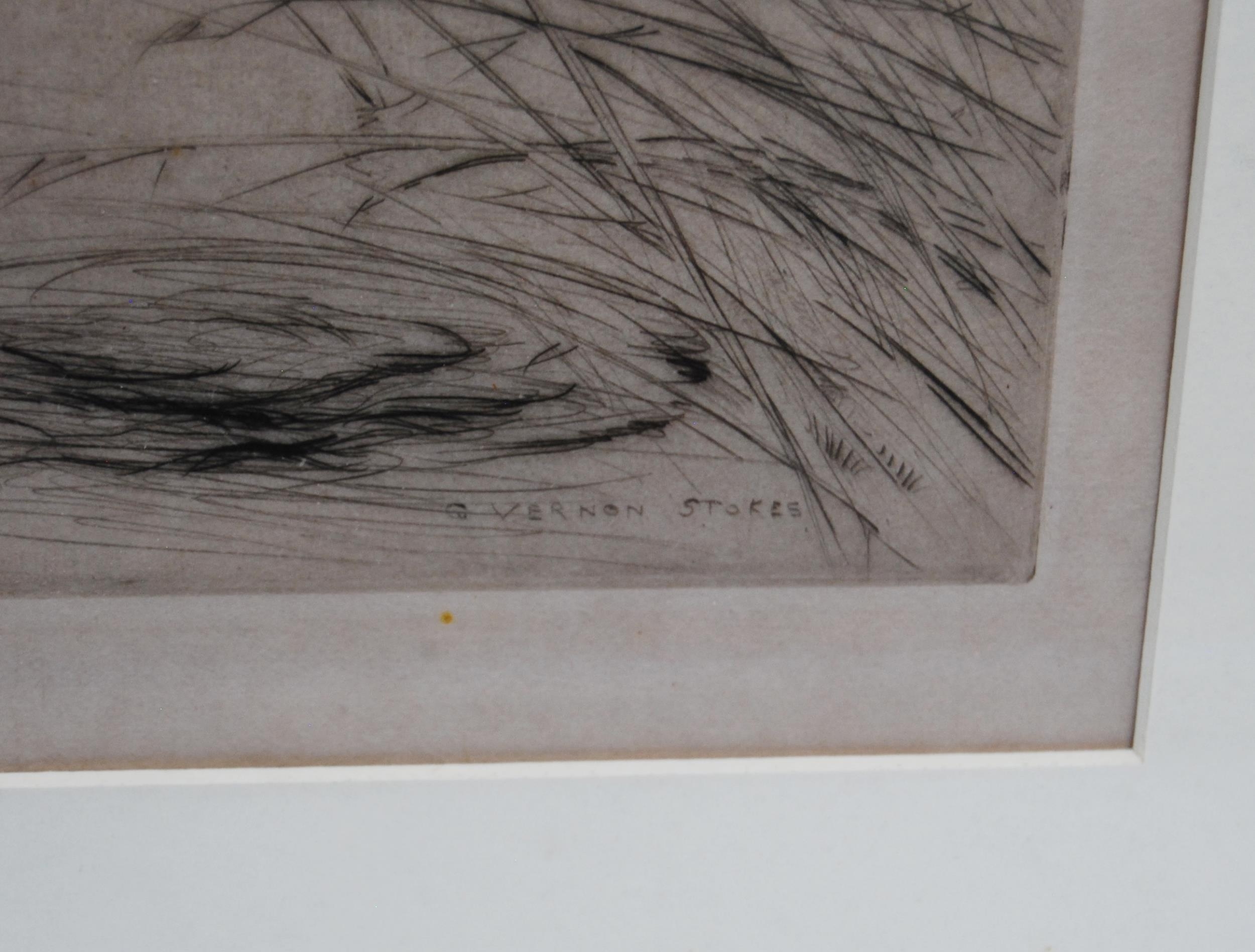 George Vernon Stokes | Mallard (1873) | MutualArt