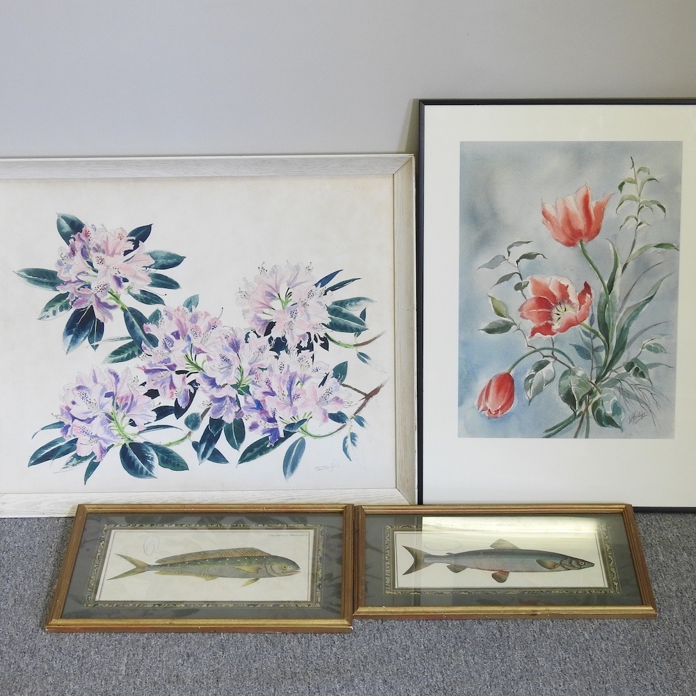 Stuart Maxwell Armfield | rhododendrons | MutualArt
