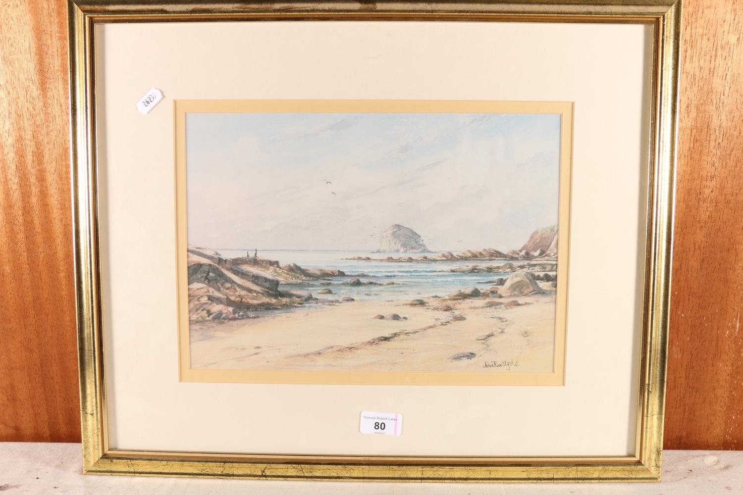 John Bathgate | Bass Rock | MutualArt
