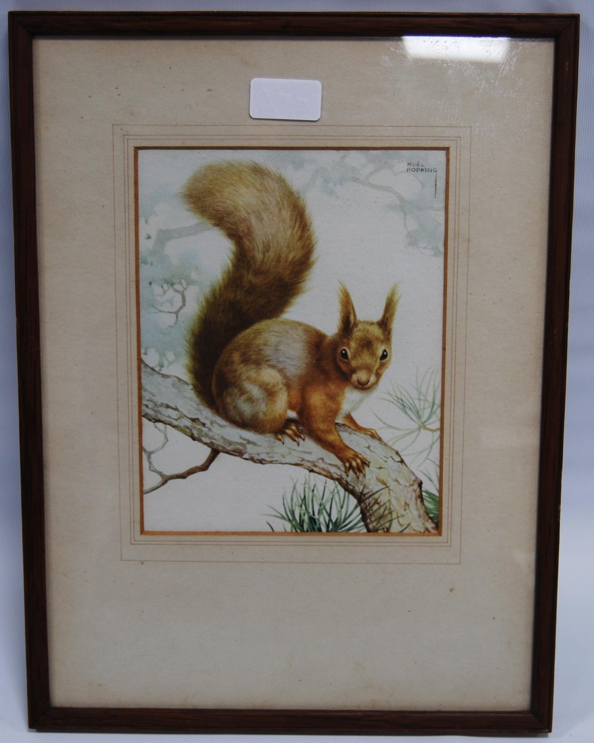 Noel Hubert Hopking | Red squirrel (1921) | MutualArt