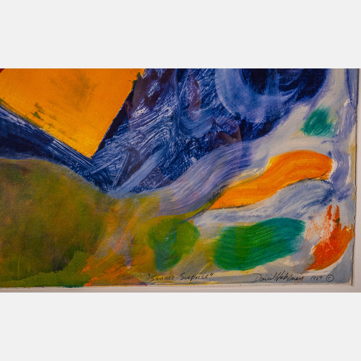 David Haberman | Summer Surprise (1984) | MutualArt