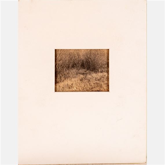 Judith K. McMillan | Unnoticed Landscape #59-9 (1992) | MutualArt